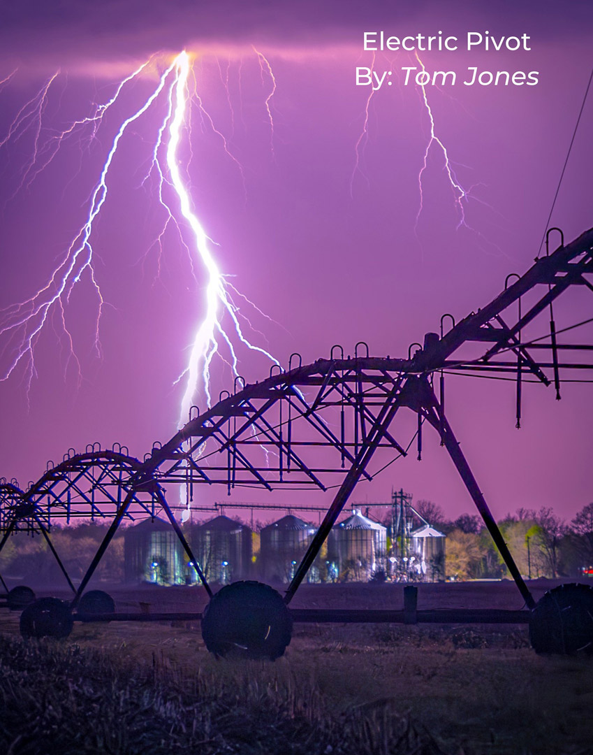 2024 Indiana Agriculture Photo Contest winners announced - Dubois ...