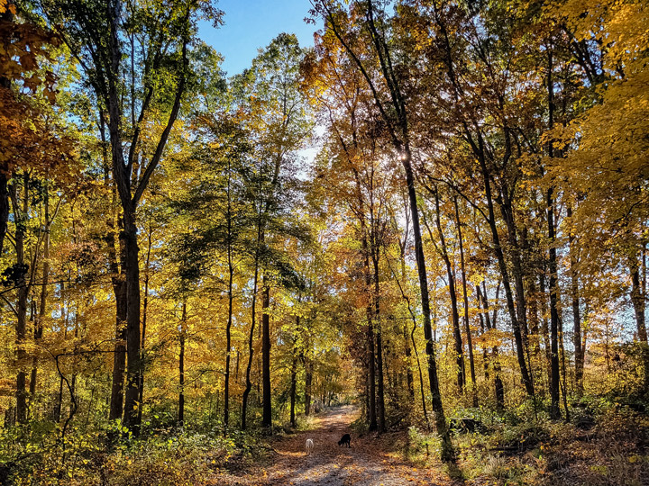 Fall forestry events in Dubois County - Dubois County Free Press, Inc.
