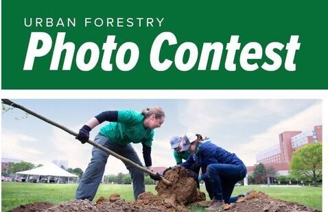 DNR contest seeks best tree planting photo - Dubois County Free Press, Inc.