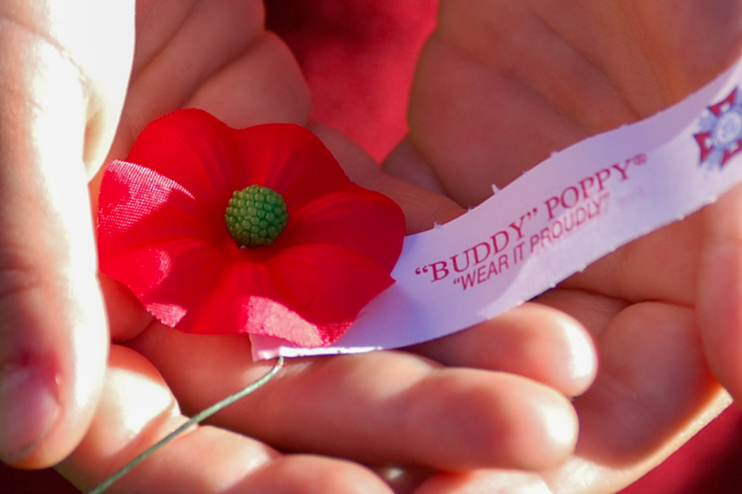Veterans set to hold annual Poppy Drive - Dubois County Free Press, Inc.