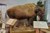 Dubois County Museum voted Best in Indiana in Connection Magazine ...